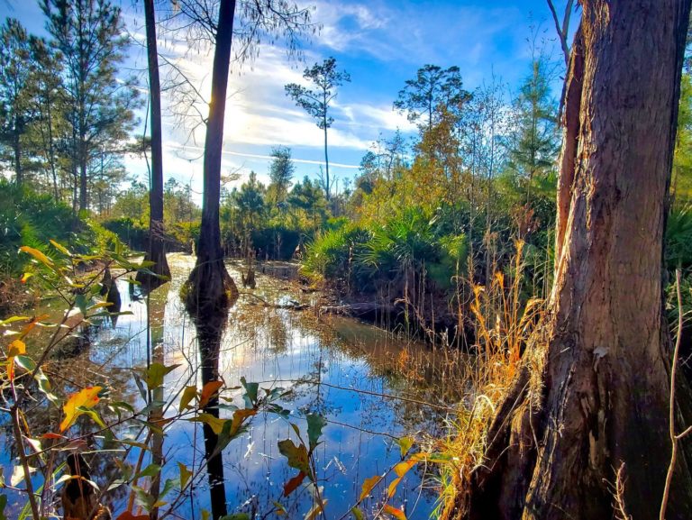 Visitor Guide - Lake City