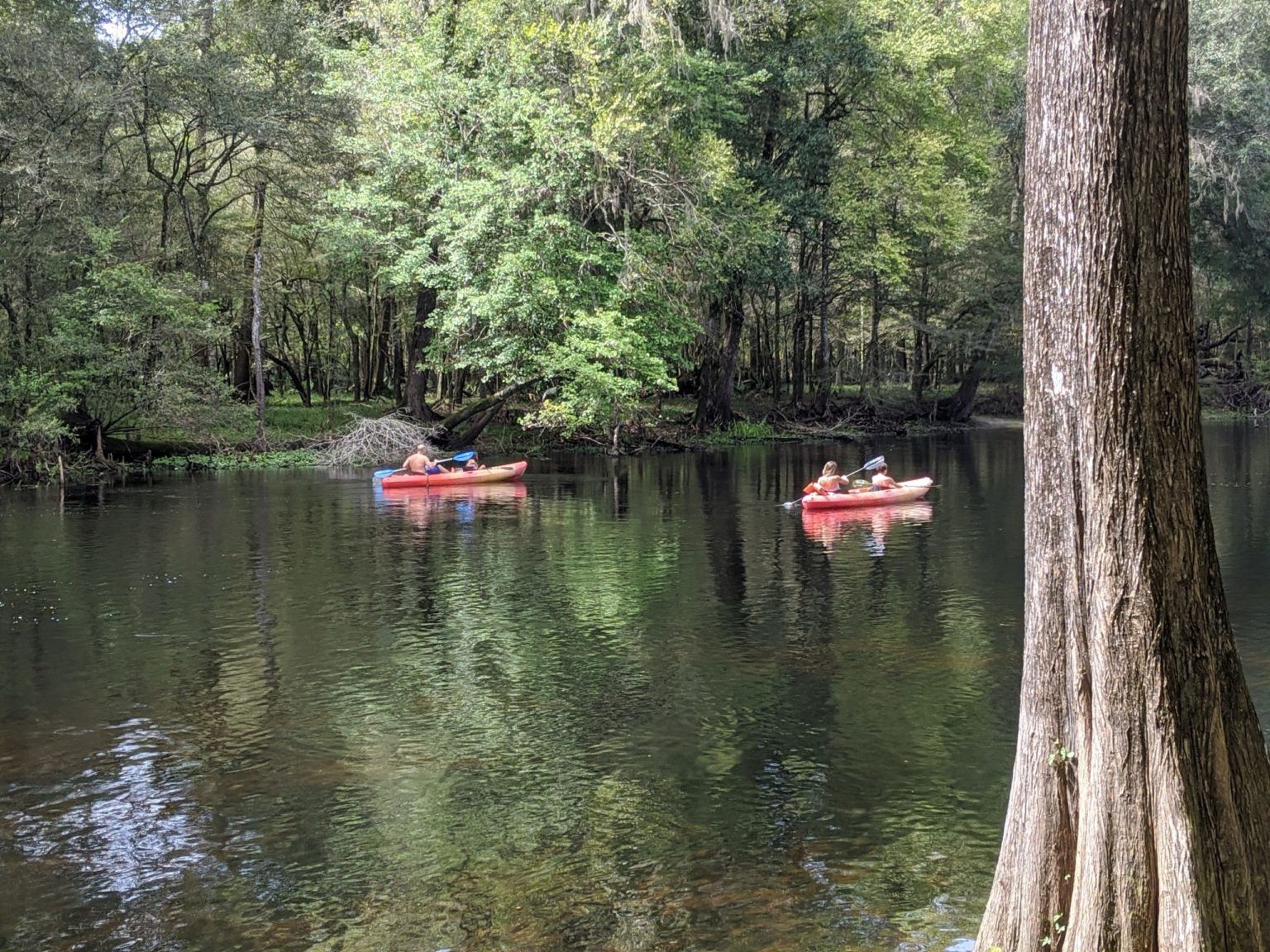 Rum Island Spring and Park - Lake City , FL