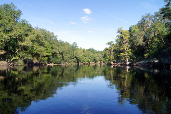 5 Unforgettable Adventures in the Suwannee River Valley - Lake City