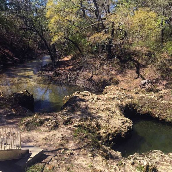 Top 10 Springs in Columbia County - Lake City