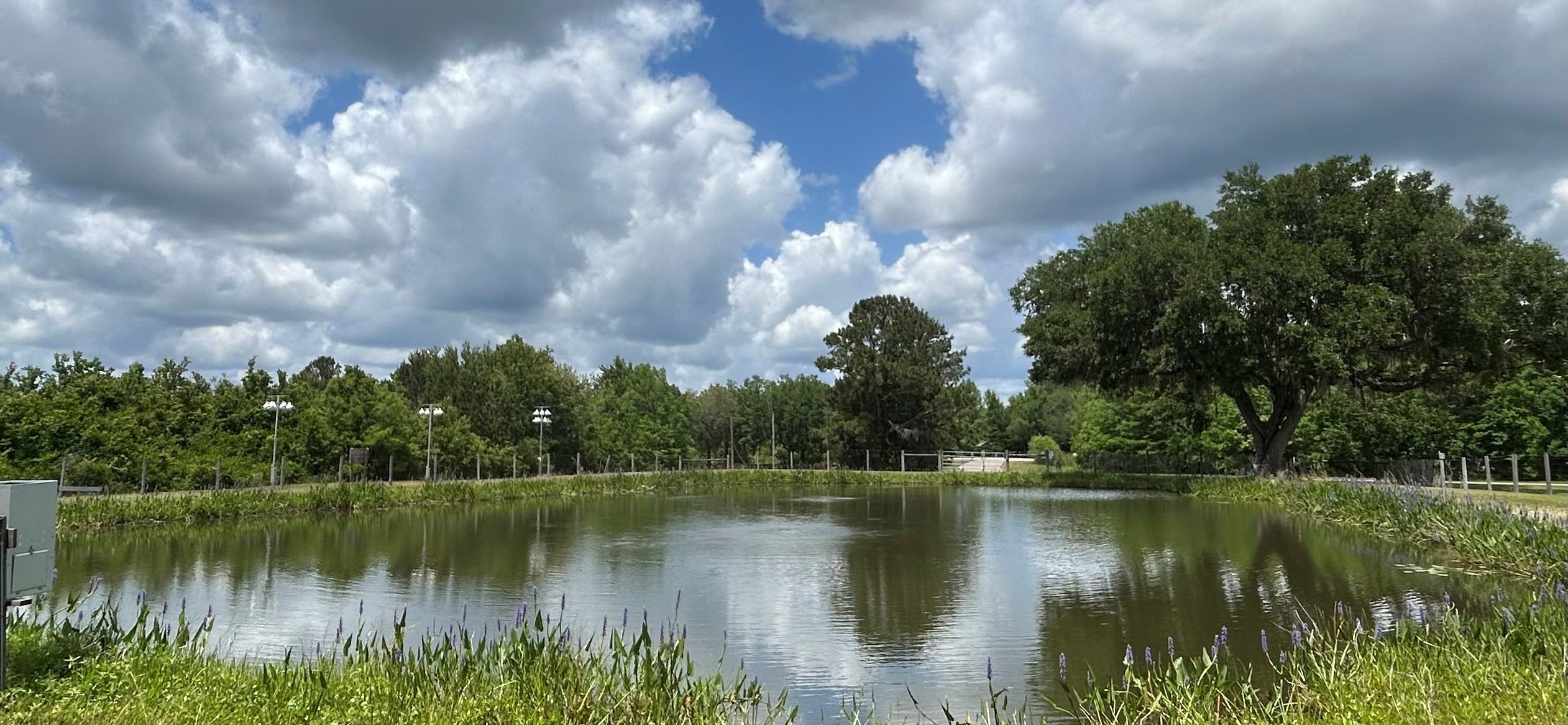 Springs and Lakes - Lake City